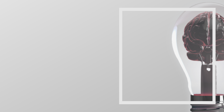 Ikaros Karyotyping Software | MetaSystems